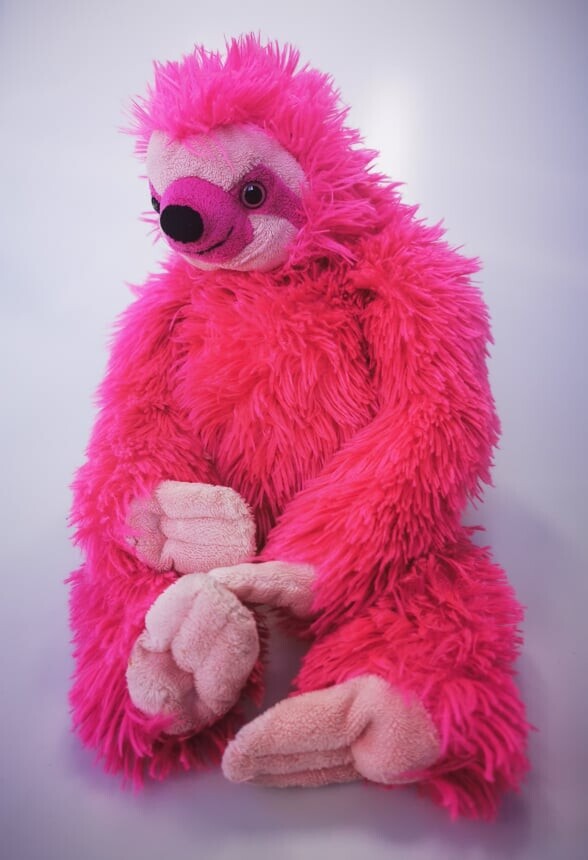 Slothy the Weighted Teddy | Smoosh NZ